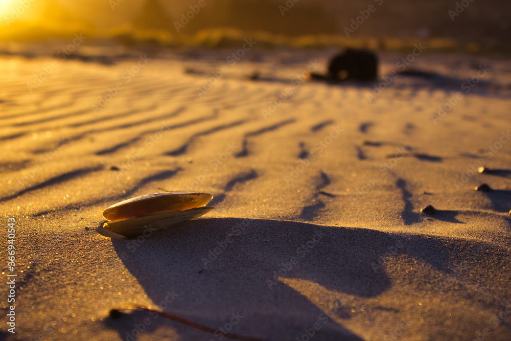 The Last rays of the sun stretching shadows on a beach in New Zealand ...