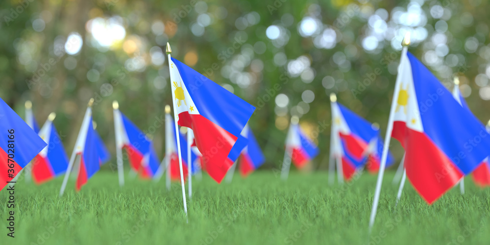 Flags of Philippines in the grass. National holiday related 3D ...