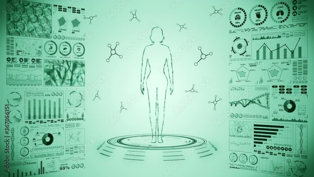Woman virtual body. Human medical hologram animation. Graph, Diagram ...
