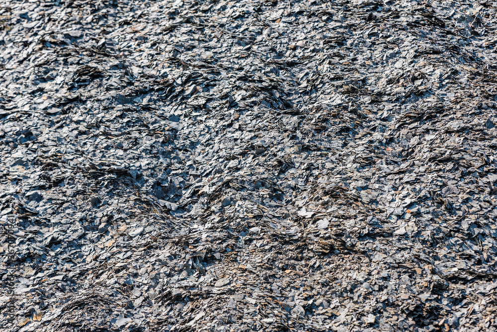 Oil shale of the Messel Pit Fossil Site in Germany. Many fossils still ...