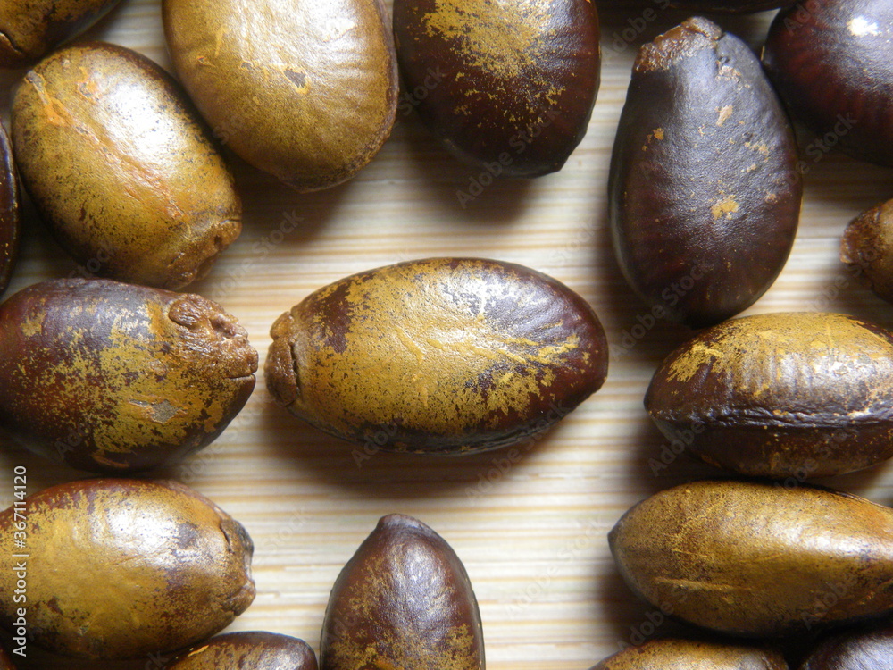 Yellow and brown color raw dried seed of Soursop fruit or Annona ...