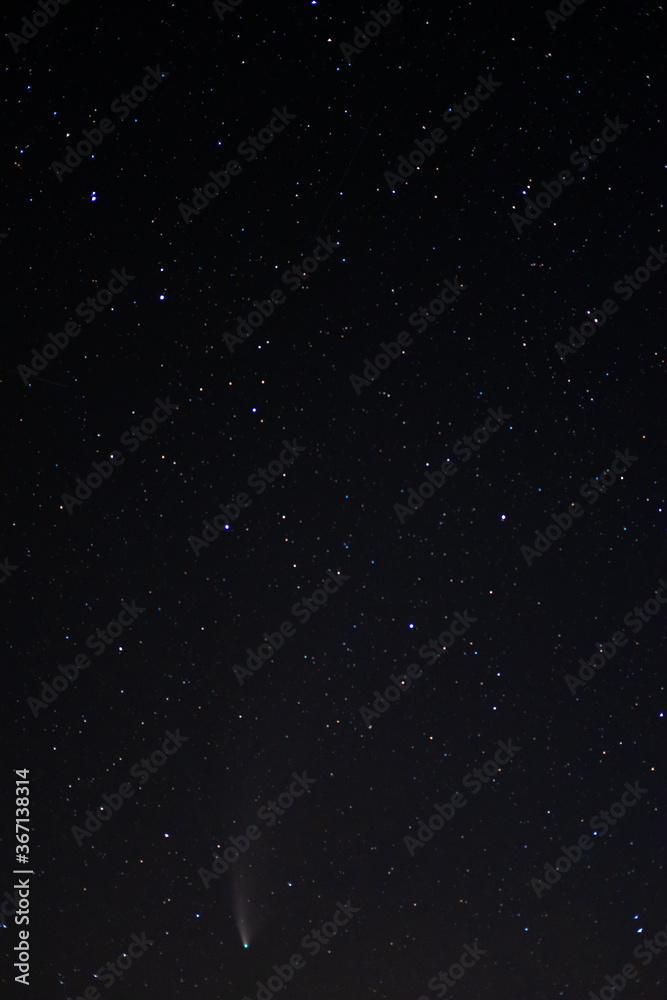 Comet Neowise in the black starry night sky. The sky of the Northern ...