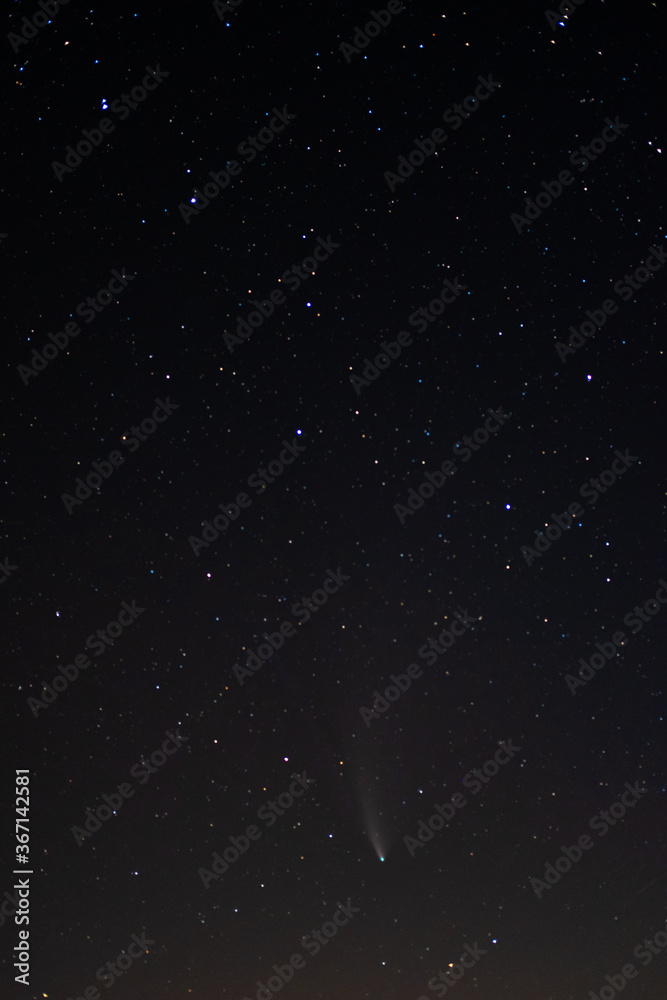 Comet Neowise in the black starry night sky. The sky of the Northern ...