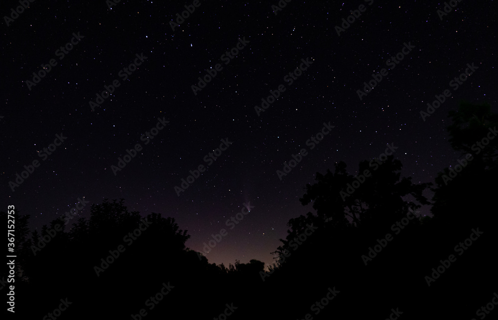 Comet Neowise in the black starry night sky. The sky of the Northern ...