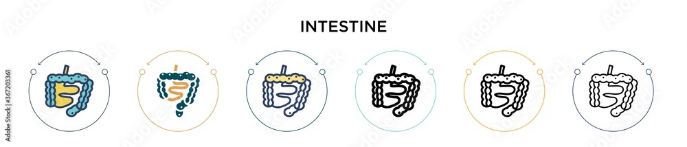 Intestine icon in filled, thin line, outline and stroke style. Vector ...