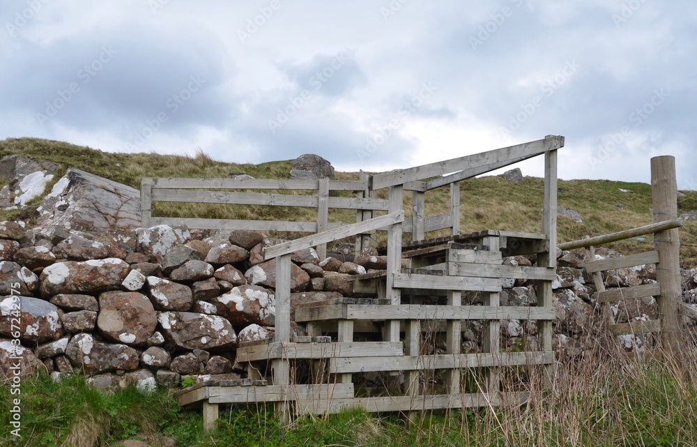 Timber stile for crossing over stone boundary wall in field on the Isle ...