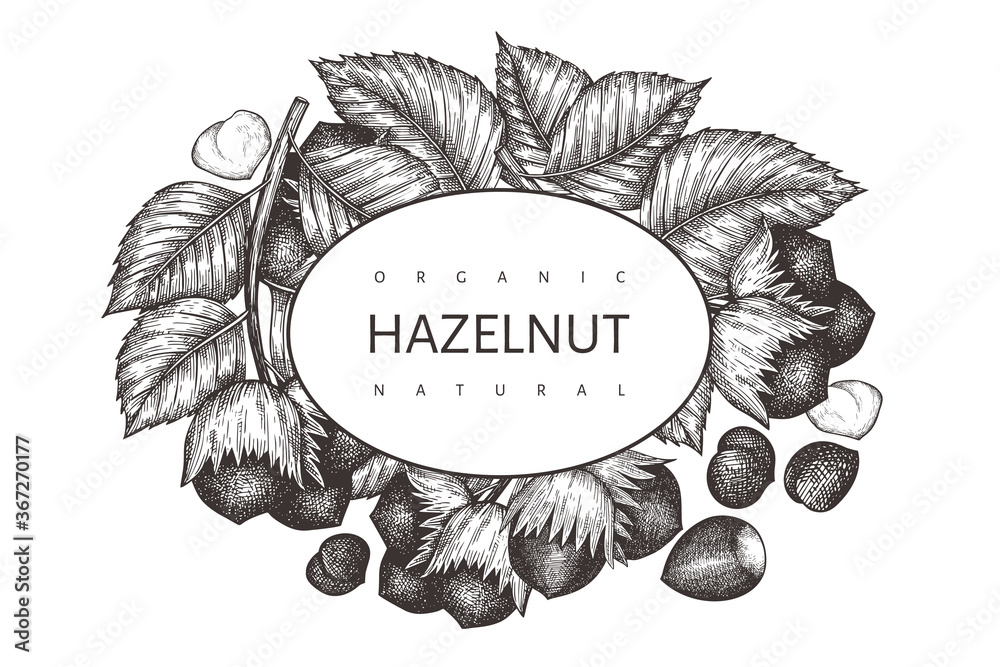 Hand drawn sketch hazelnut design template. Organic food vector ...