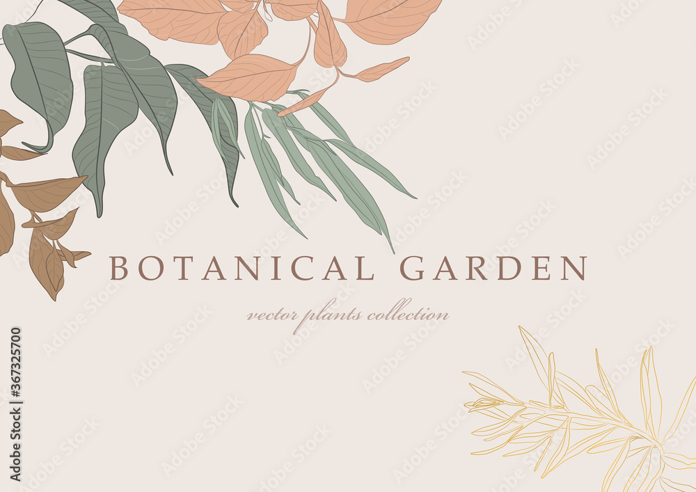 Botanical garden. Vector collection of hand drawn plant elements Stock ...