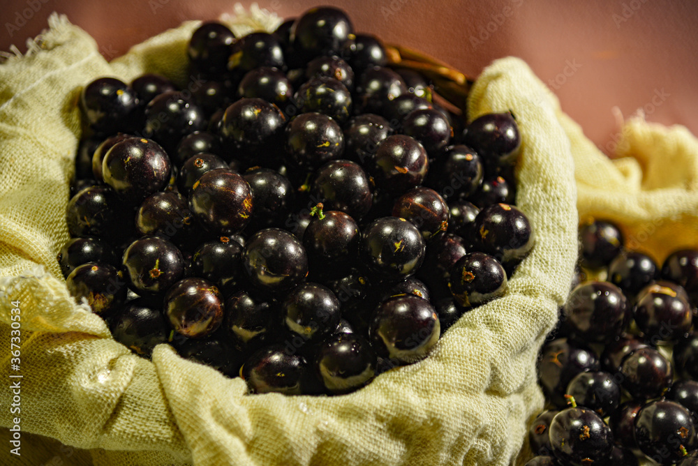 Jabuticaba (Myrciaria cauliflora) fruits clustered on top of a burlap ...