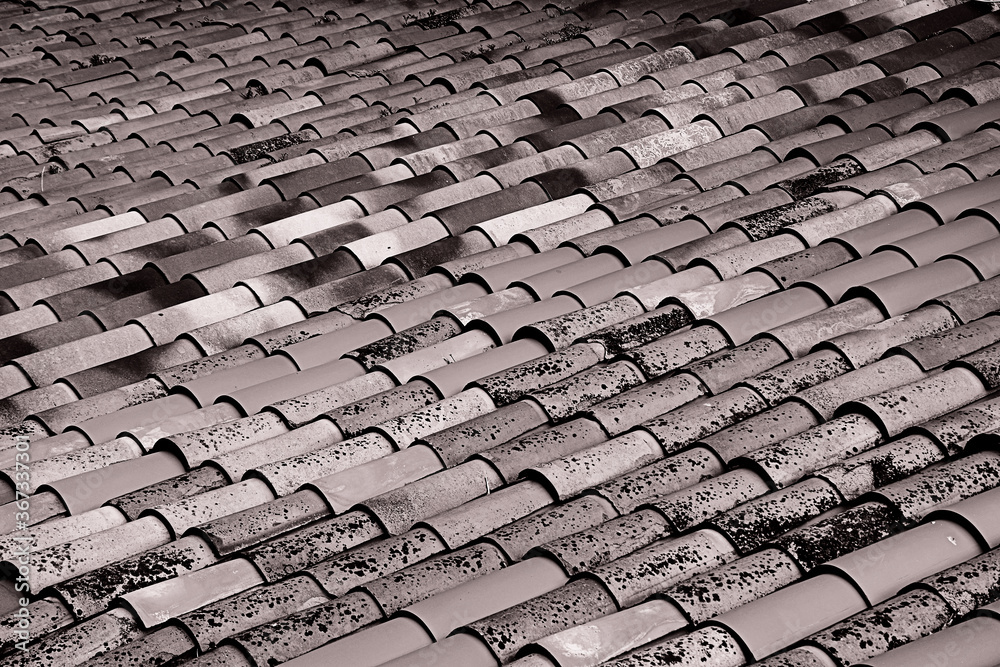 tejas de un tejado Stock Photo | Adobe Stock