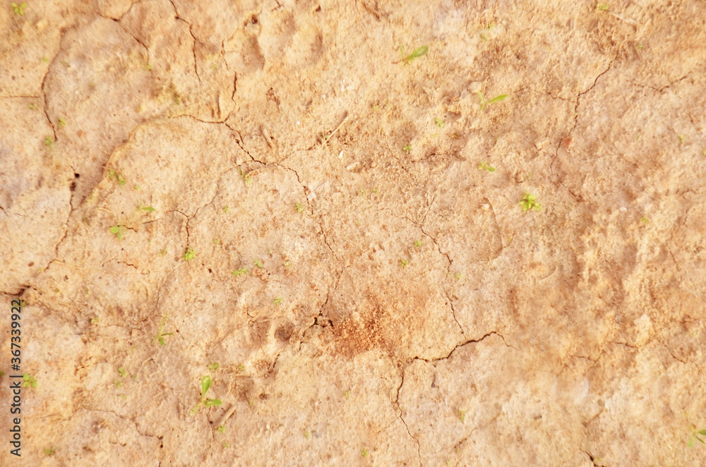 Yellow crumbly sand. Dry soil texture and background. Background of the ...