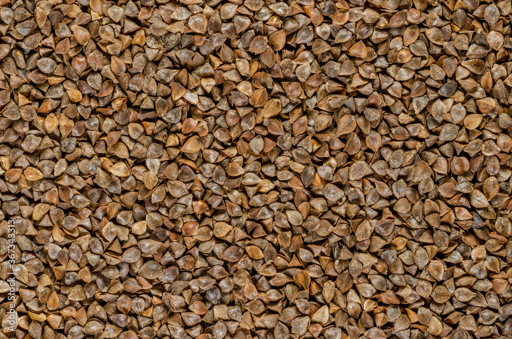 Common buckwheat seeds with husks, close-up. Gluten-free pseudocereal ...