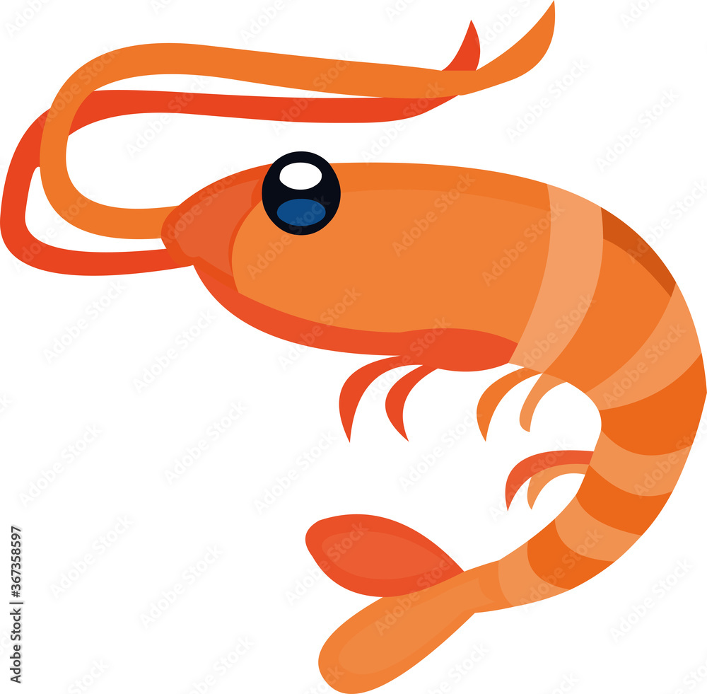 Vector illustration of a cartoon shrimp Stock Vector | Adobe Stock