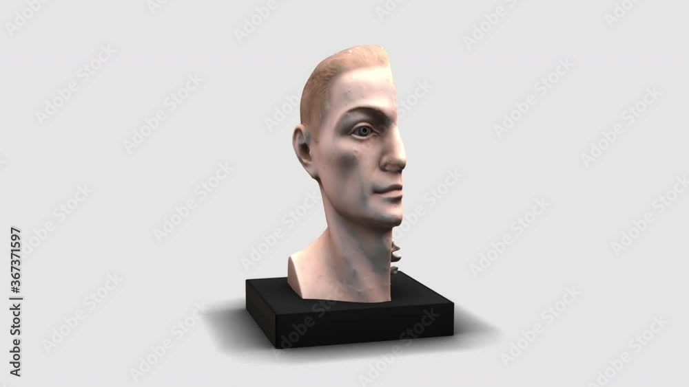 Human head - rotation - 3D model animation on a white background Stock ...