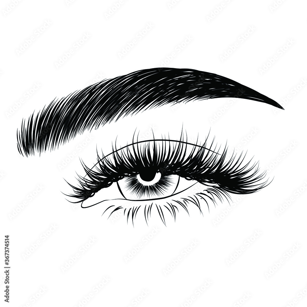 Hand-drawn woman's luxurious eye with perfectly shaped eyebrows and full lashes. Idea for ...