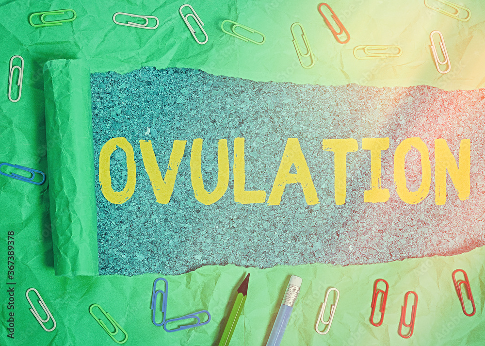 Text sign showing Ovulation. Business photo text the discharge of a ...