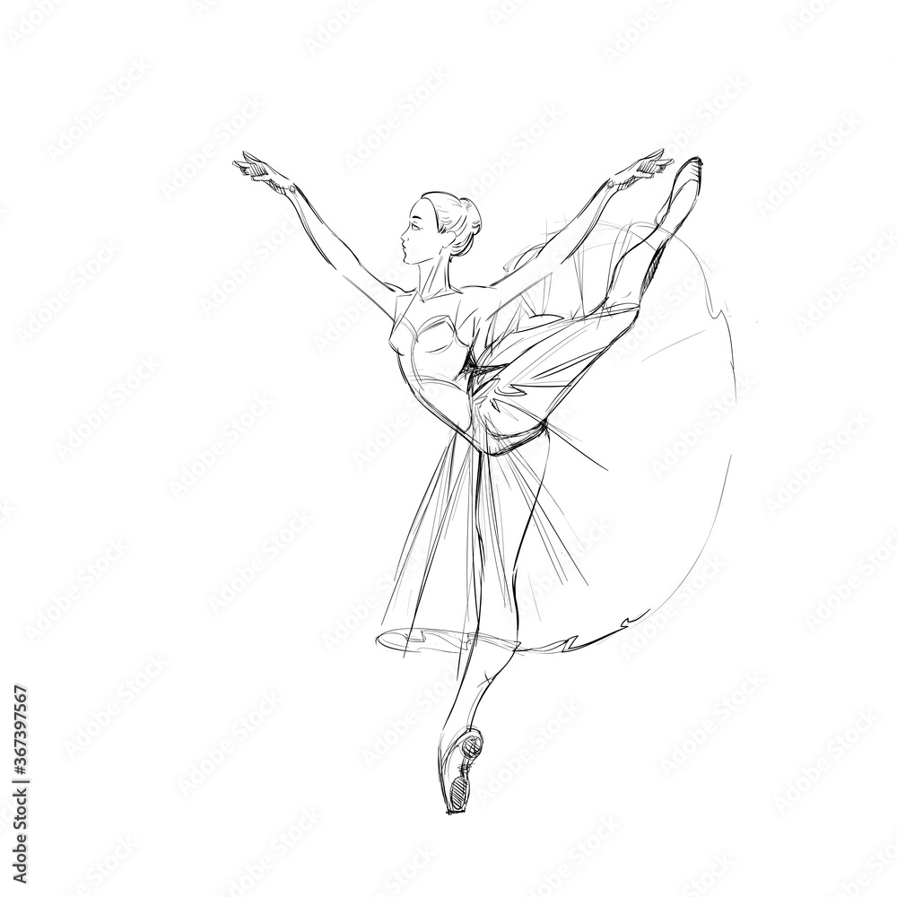 A Young Ballerina. Freehand Drawing of a Ballet Dancer Girl. Vector ...