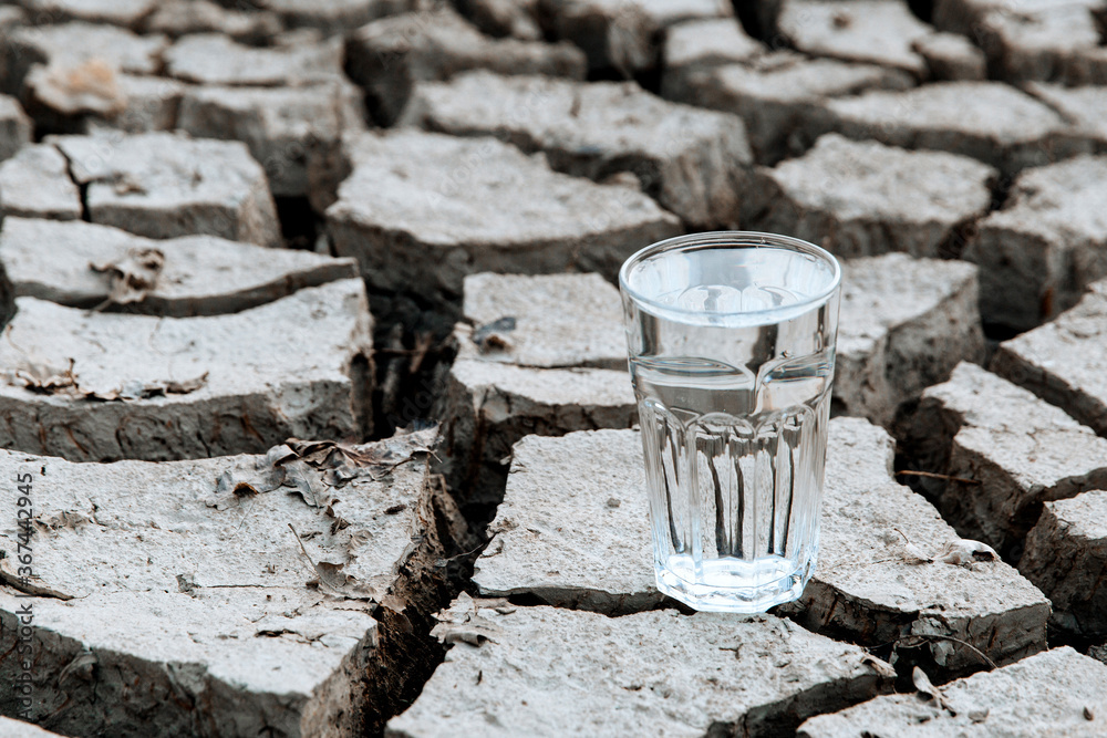 A transparent glass of clean drinking water stands in the middle of dry ...
