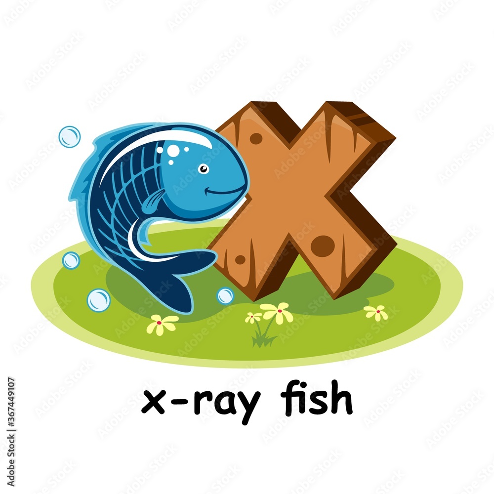 X-Ray Fish Wooden Alphabet Education Animals Letter X Stock Vector ...