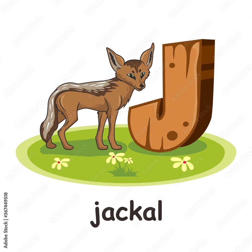 Jackal Cartoon 3D Wood Alphabet Animals Letter J Stock Vector | Adobe Stock