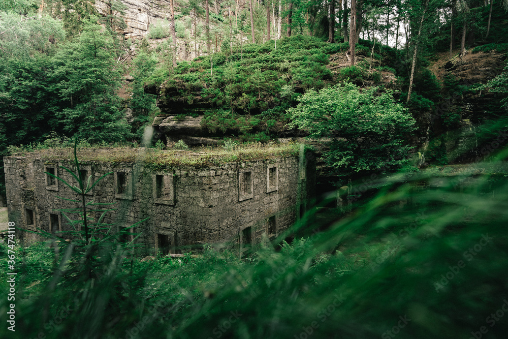 The romantic ruin former mill in national park Bohemian Switzerland. In ...