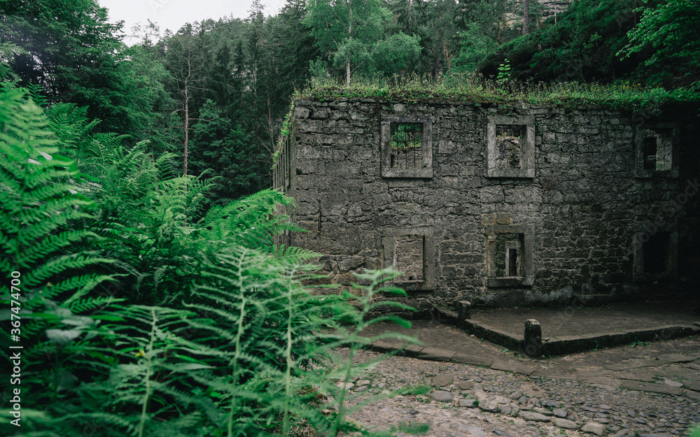 The romantic ruin former mill in national park Bohemian Switzerland. In ...