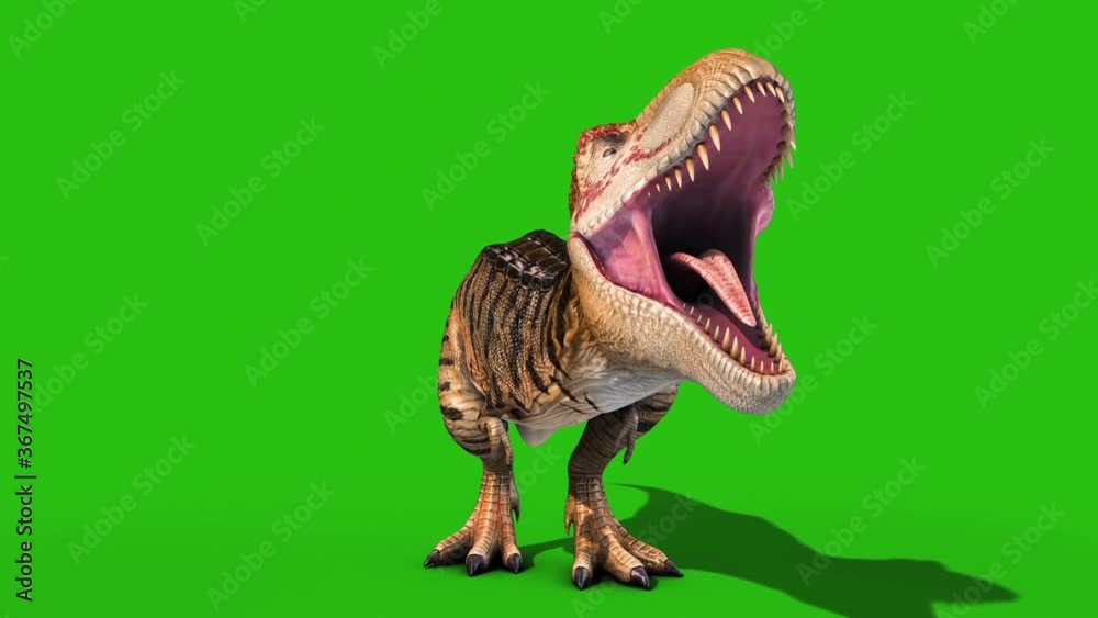 Angry T-Rex Roar Green Screen Front Loop 3D Rendering Animation ...