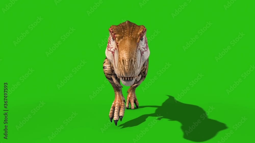 Angry T-Rex Runcycle Green Screen Front Loop 3D Rendering Animation ...