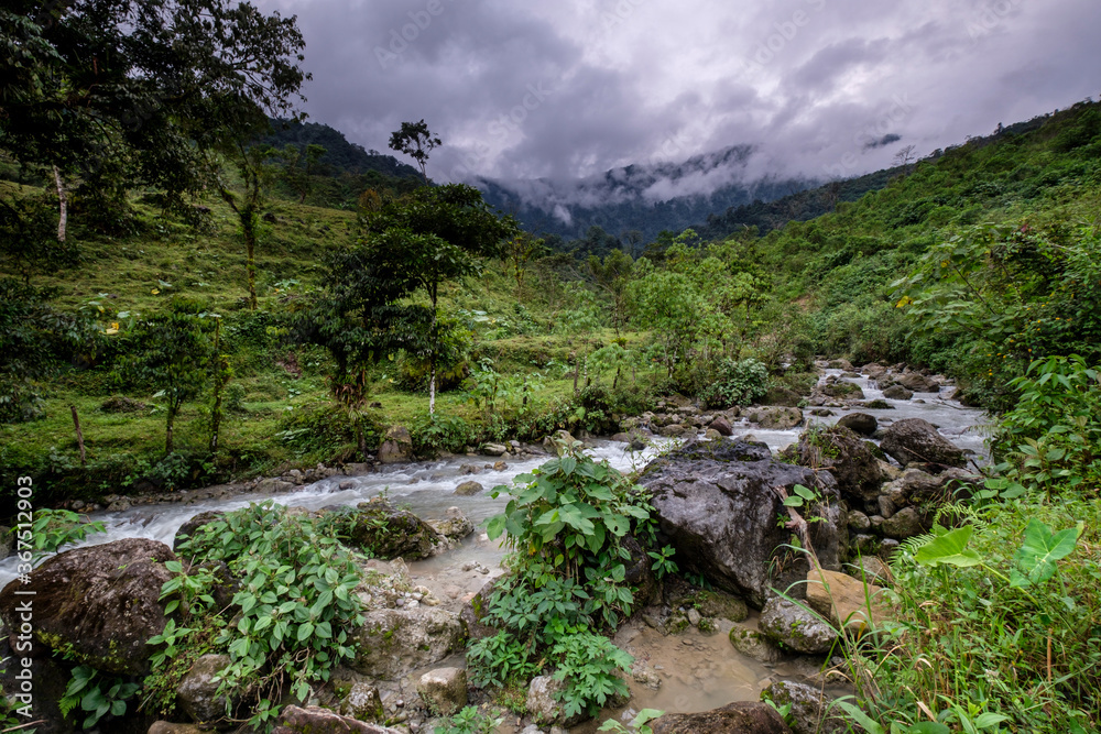 Foto de bosque humedo, Sierra de los Cuchumatanes, Quiche, República de ...