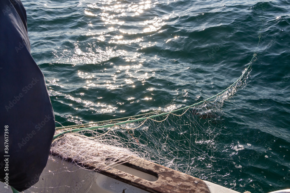 Fisherman bringing back net in a boat in Brittany Stock Photo | Adobe Stock