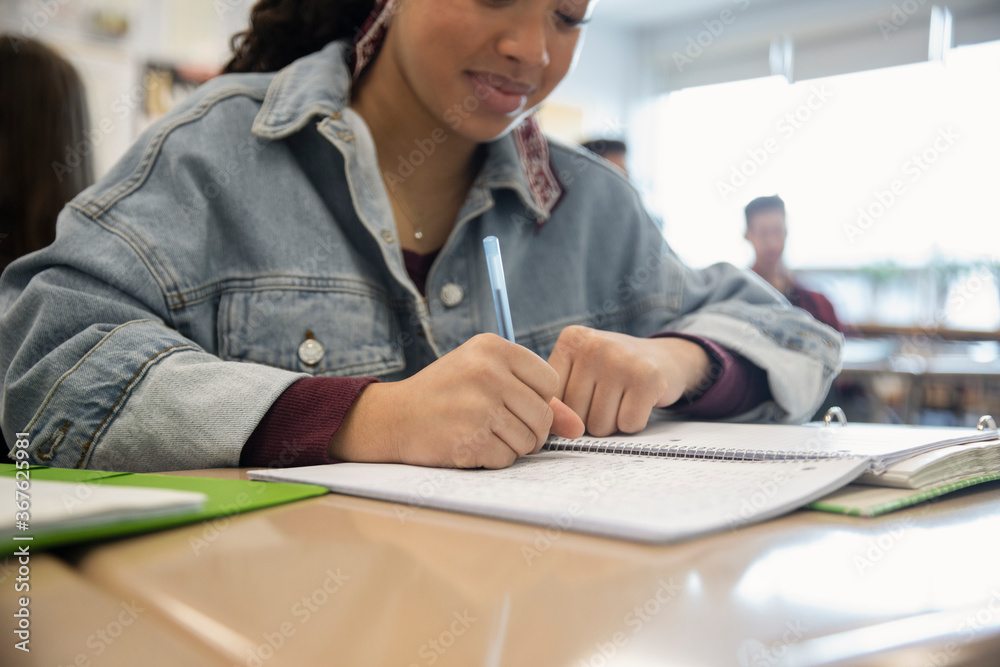 High School Student Taking Notes