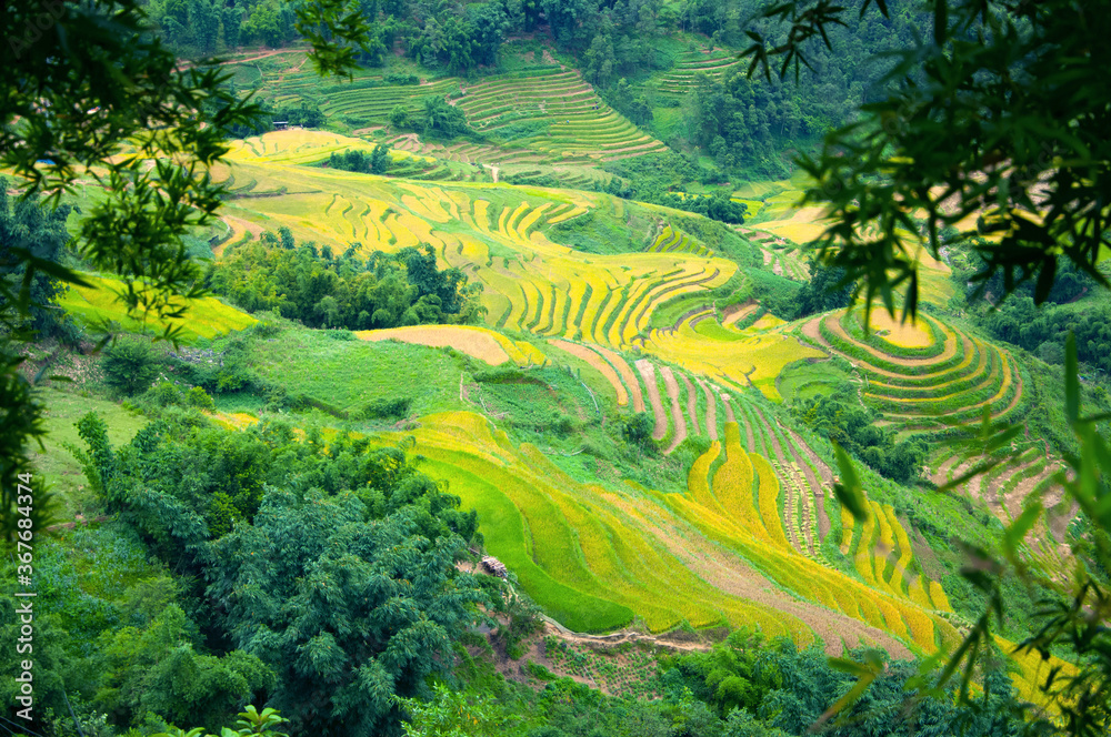 Scenic landscape of rice terraces in rural Northern Vietnam near Sapa ...