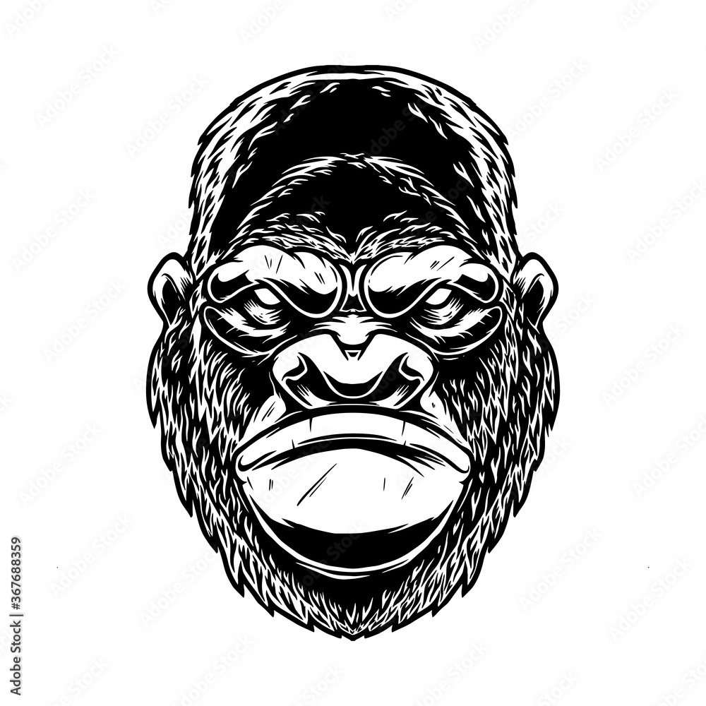 Illustration of head of angry ape in vintage monochrome style. Design ...