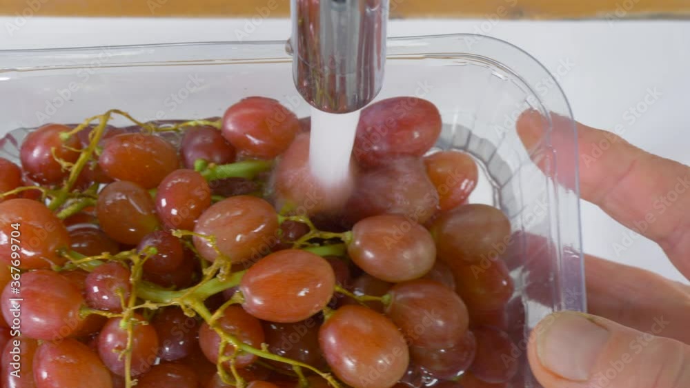 Vidéo Stock Close shot of fresh red grapes in a handheld punnet being ...