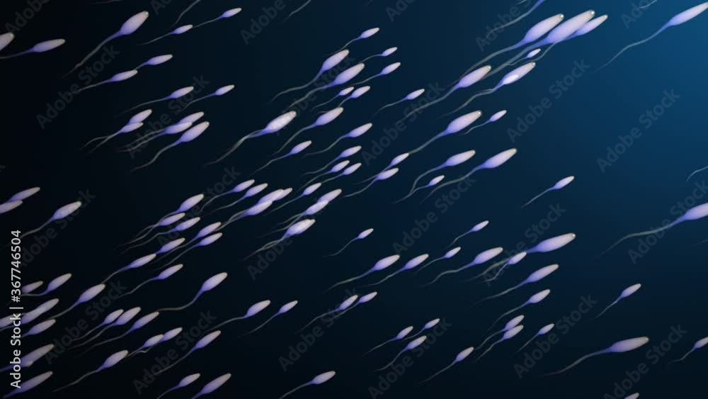 Sperm cells swimming against dark blue background seamless looping CG ...