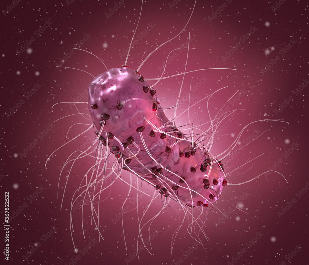 Dangerous pathogenic bacteria Escherichia coli, colibacillus, pathogen ...