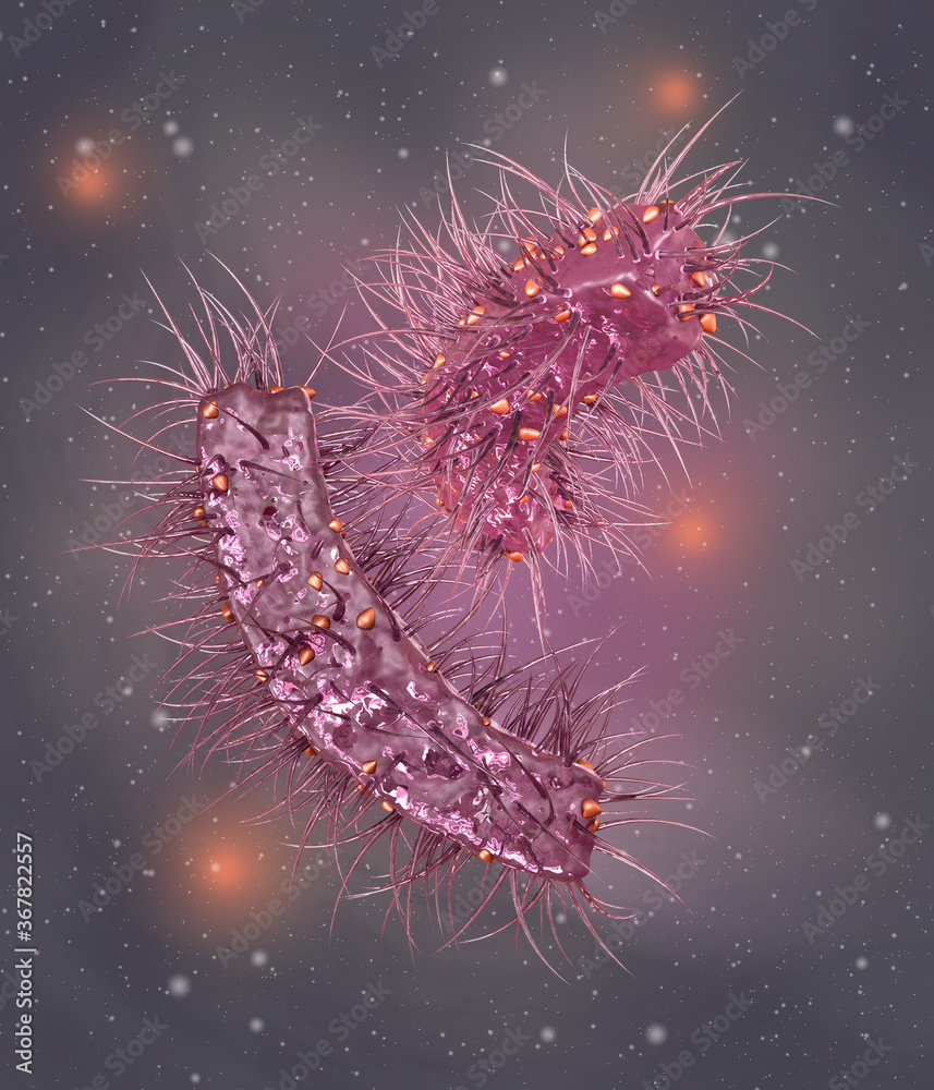 Dangerous pathogenic bacteria Escherichia coli, colibacillus, pathogen ...