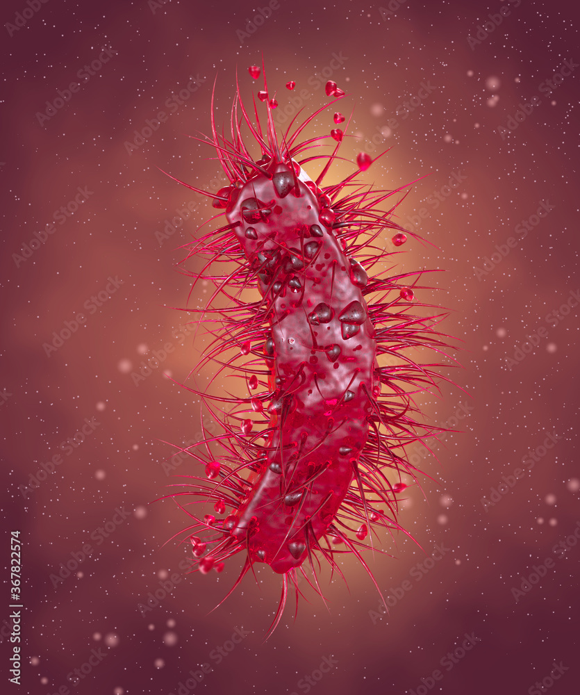 Dangerous pathogenic bacteria Escherichia coli, colibacillus, pathogen ...