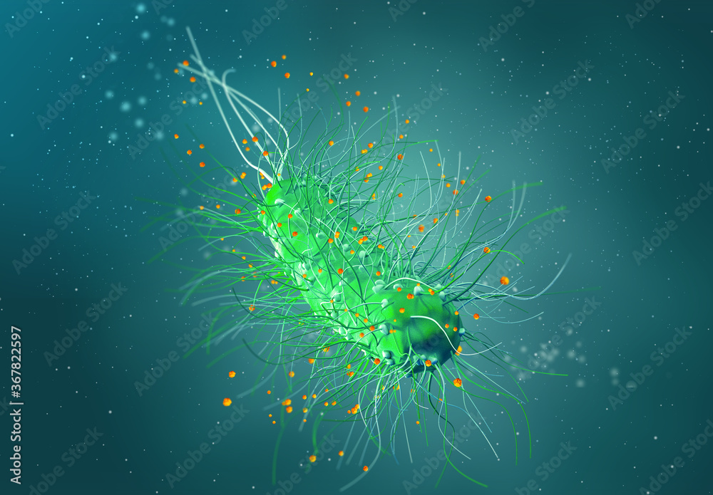 Dangerous pathogenic bacteria Escherichia coli, colibacillus, pathogen ...