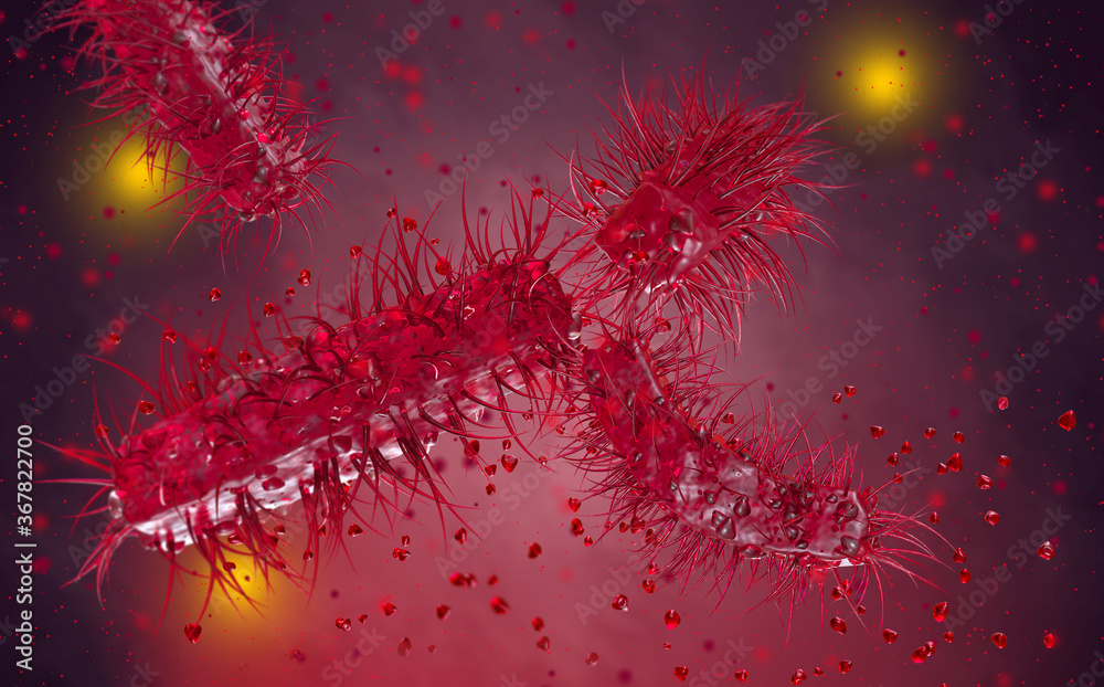 Dangerous pathogenic bacteria Escherichia coli, colibacillus, pathogen ...