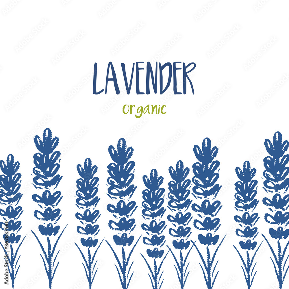 Set of template label design of beautiful abstract lavender flowers ...
