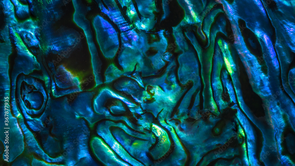 Foto de Brightly coloured New Zealand Paua shell patterns. Paua is a ...