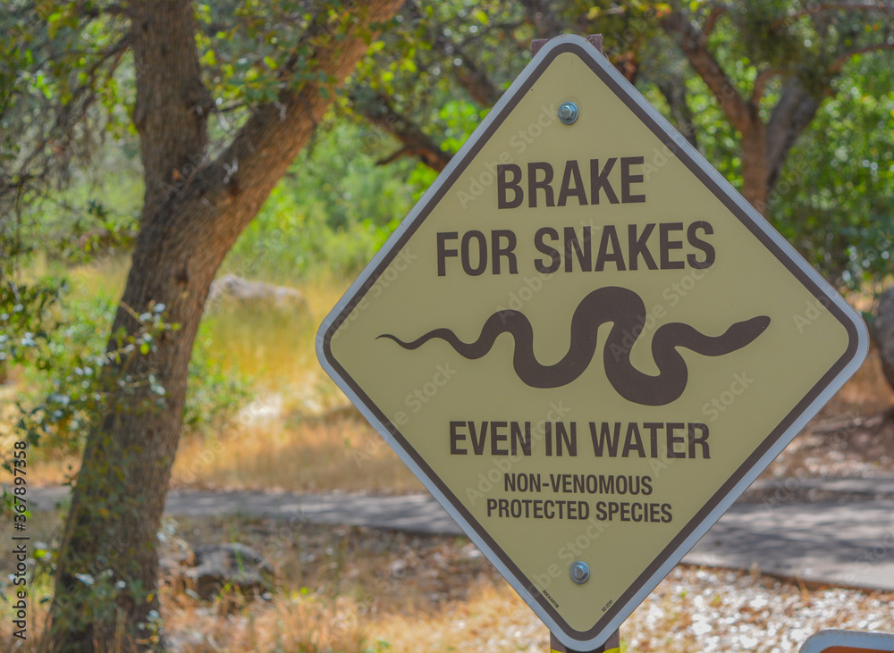 Break For Snakes, Even In Water Sign in Oak Creek Canyon, Northern ...