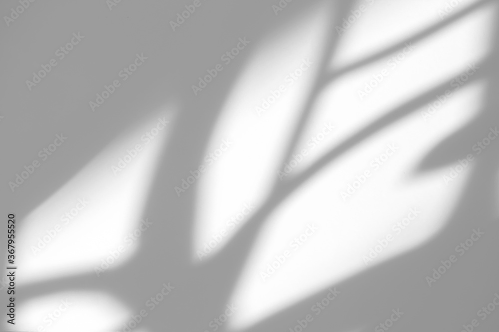 Overlay effect for photo and mockups. Organic drop diagonal shadow of ...