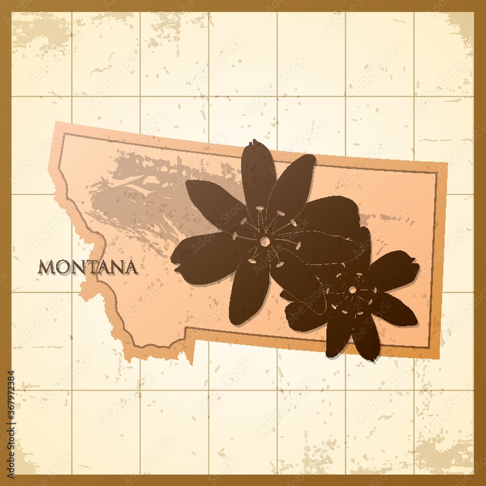map of montana state Stock Vector | Adobe Stock