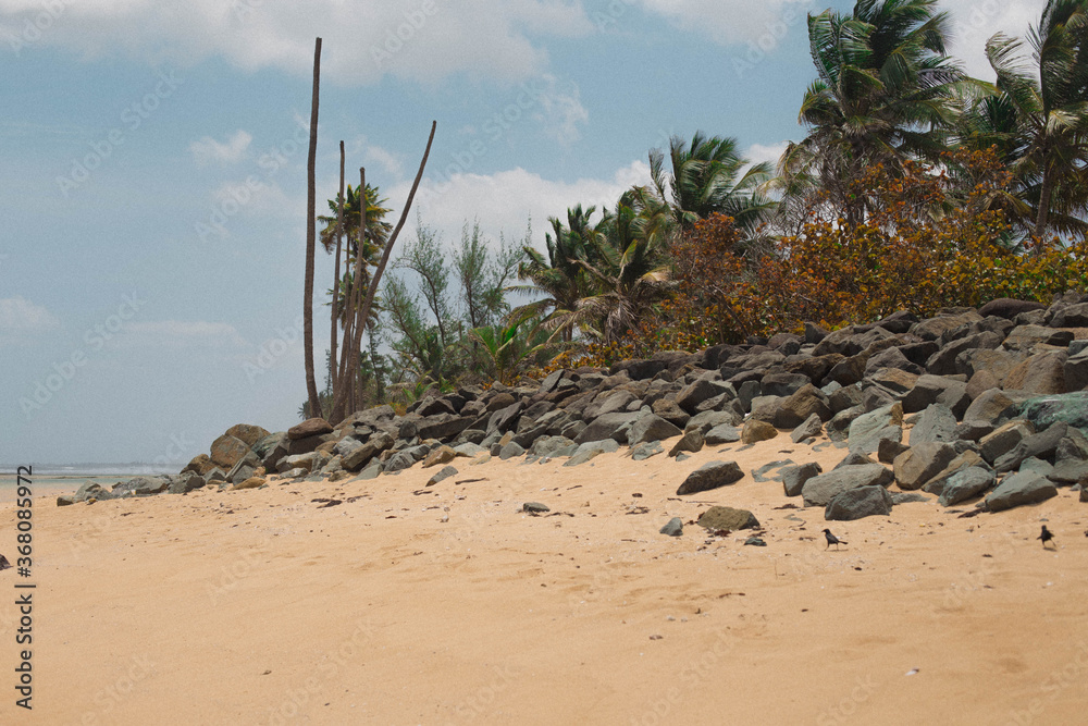 Terraplen La Posita de Piñones la playa in puerto rico stock photo ...