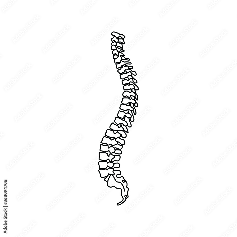 Vector human spine isolated silhouette illustration. Spine pain medical ...