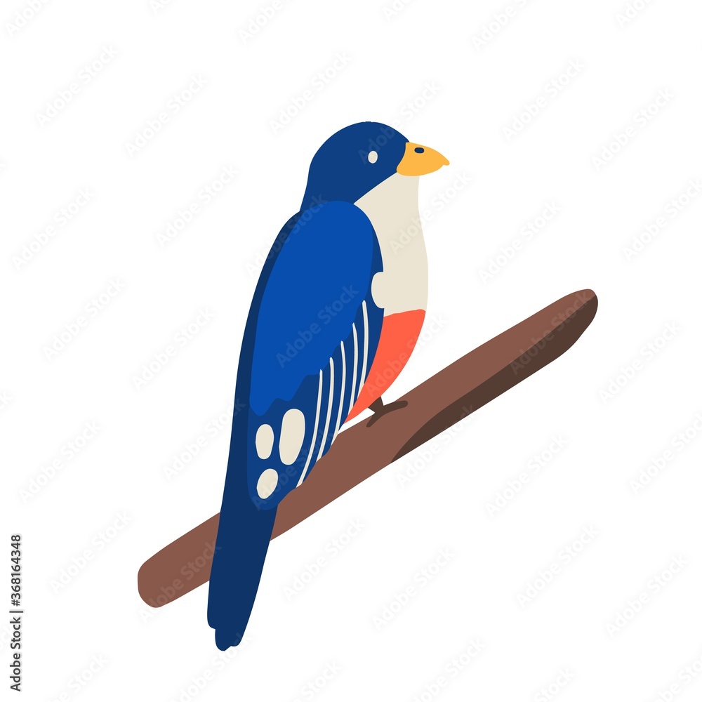 Traditional Cuban animal or tropical bird, trogon sitting on branch ...