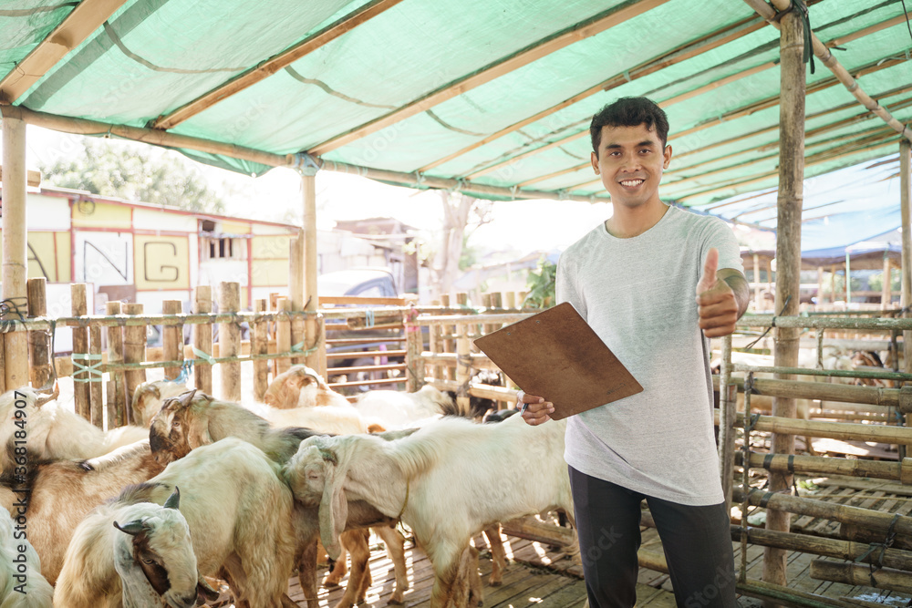 farmer animal worker at his traditional farm looking and checking for ...