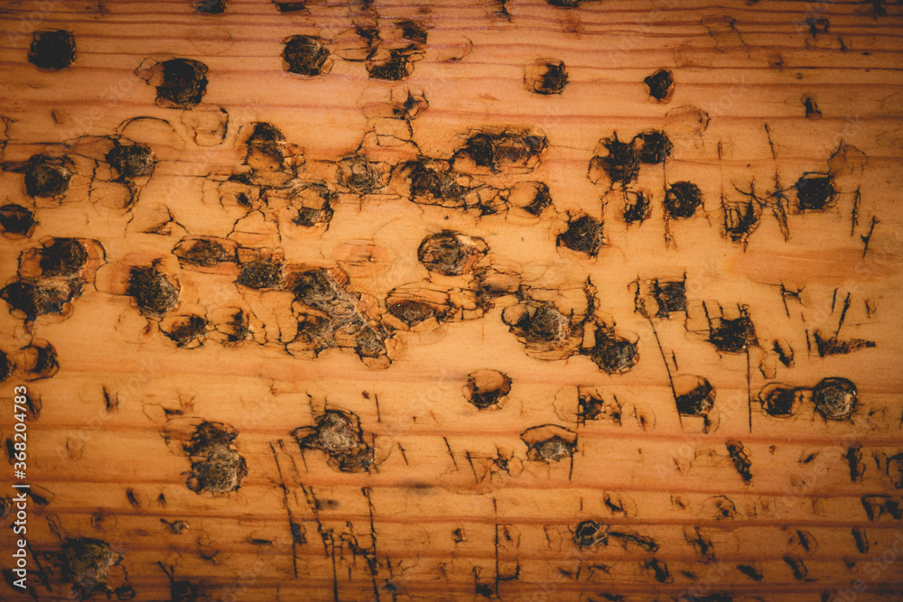 Workbench texture Stock Photo | Adobe Stock